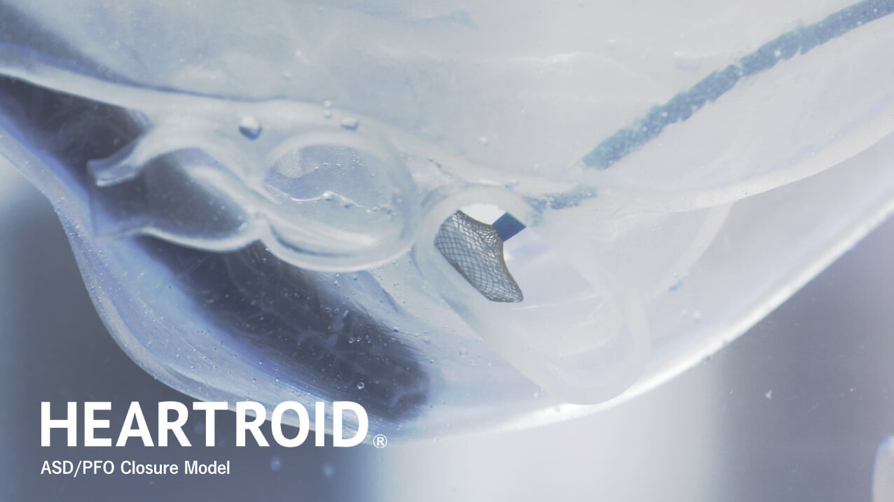 ASD/PFO Closure Model | HEARTROID