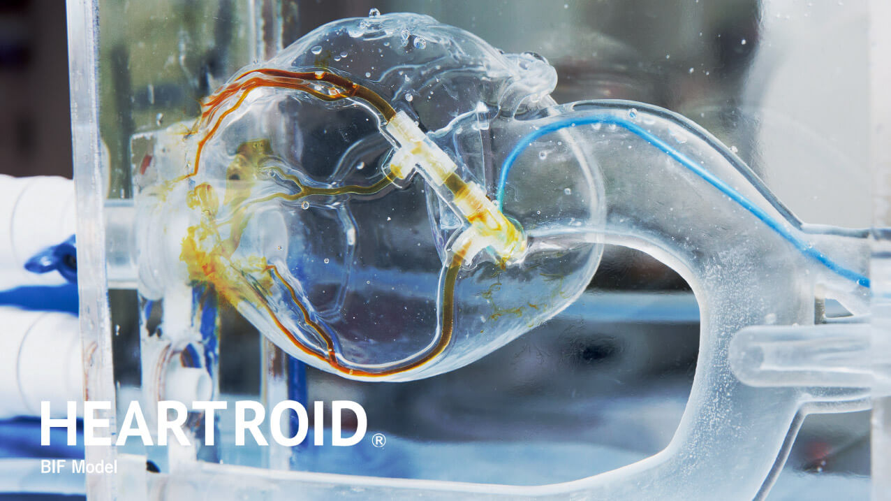 BIF Model | HEARTROID