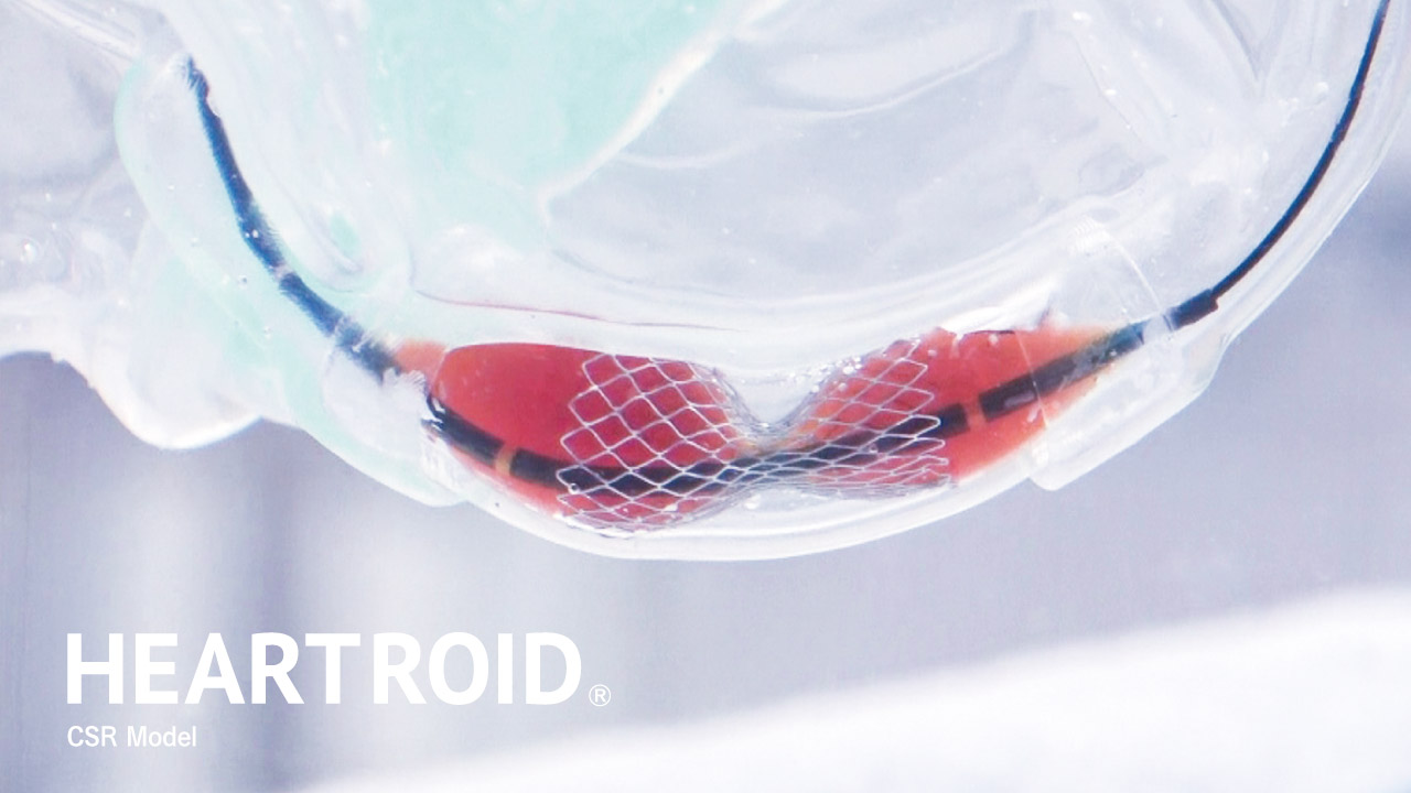 CSR Model | HEARTROID