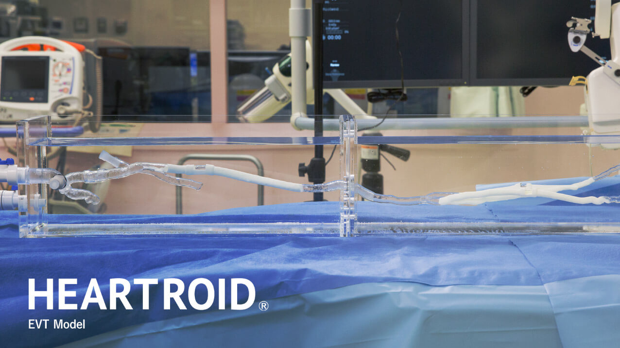 EVT Model | HEARTROID