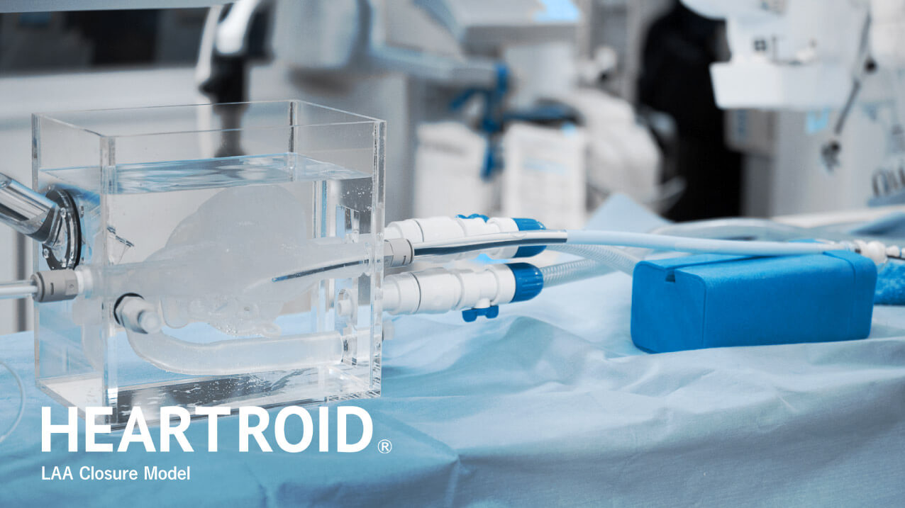 LAA Closure Model | HEARTROID