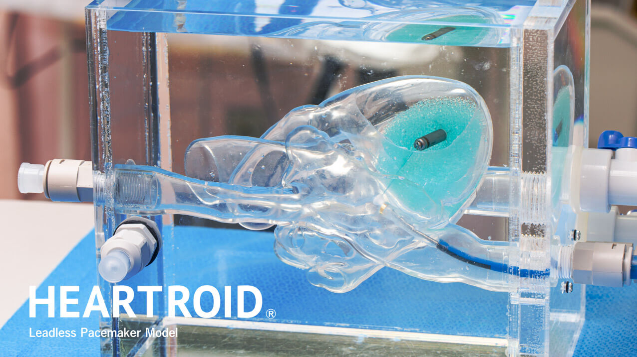 Leadless Pacemaker Model | HEARTROID