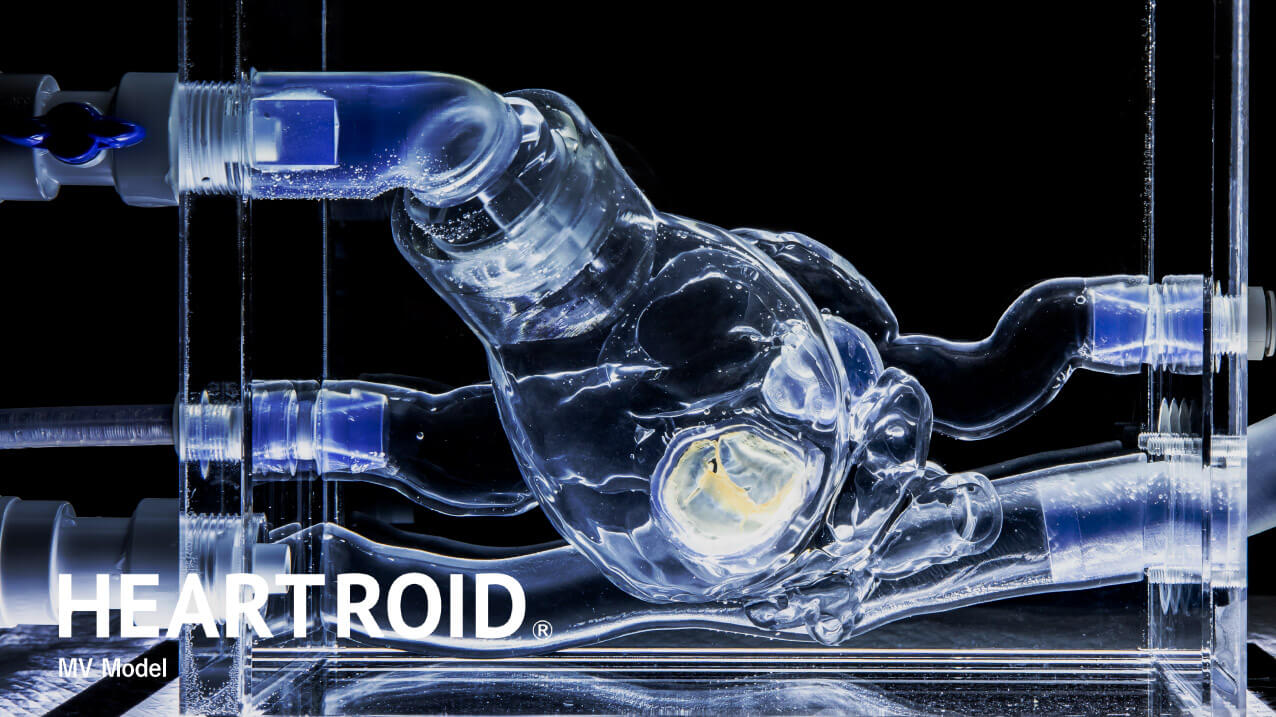 MV Model | HEARTROID