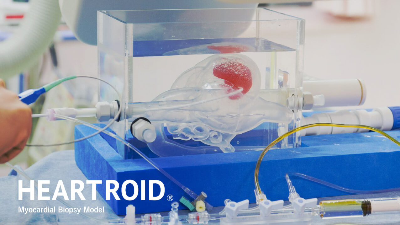Modelo de Biópsia Miocárdica | HEARTROID