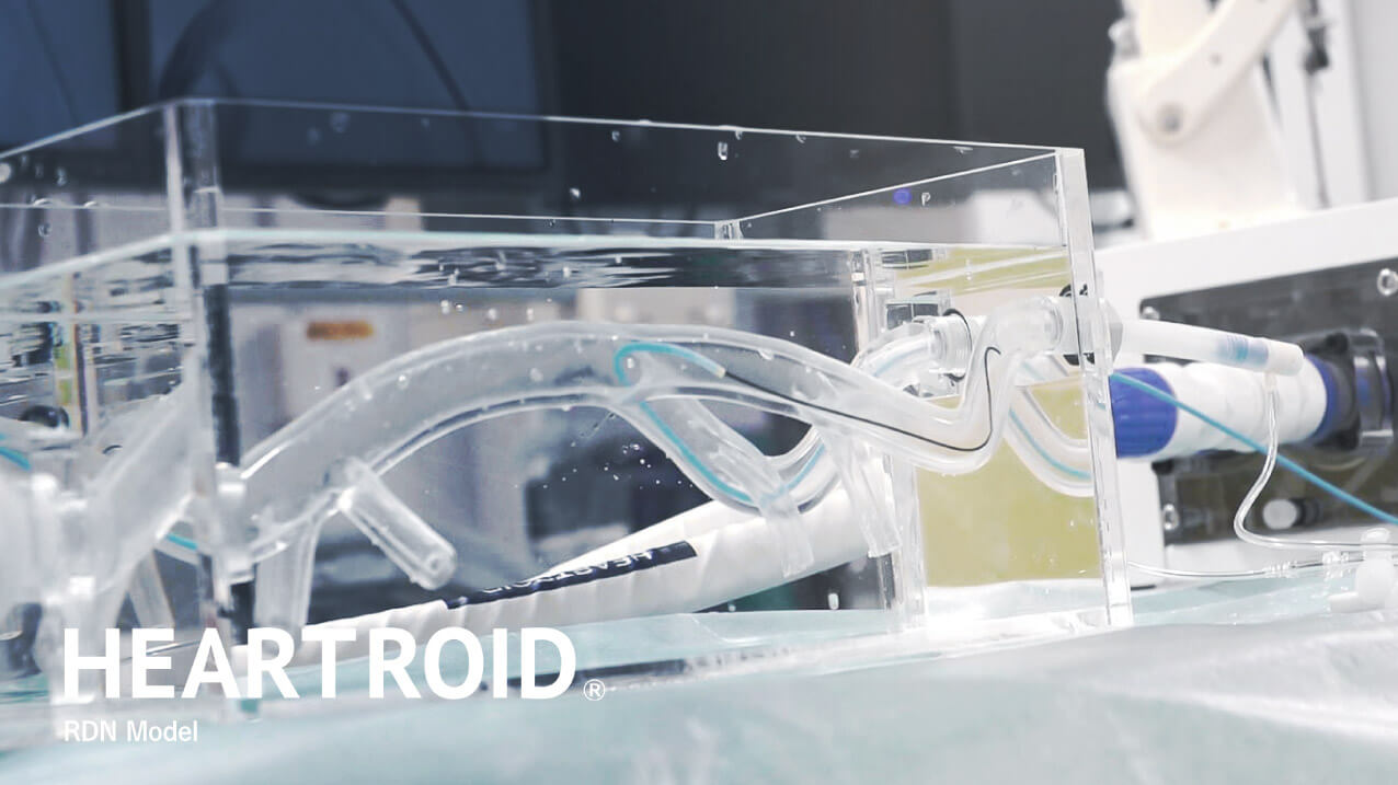 RDN Model | HEARTROID