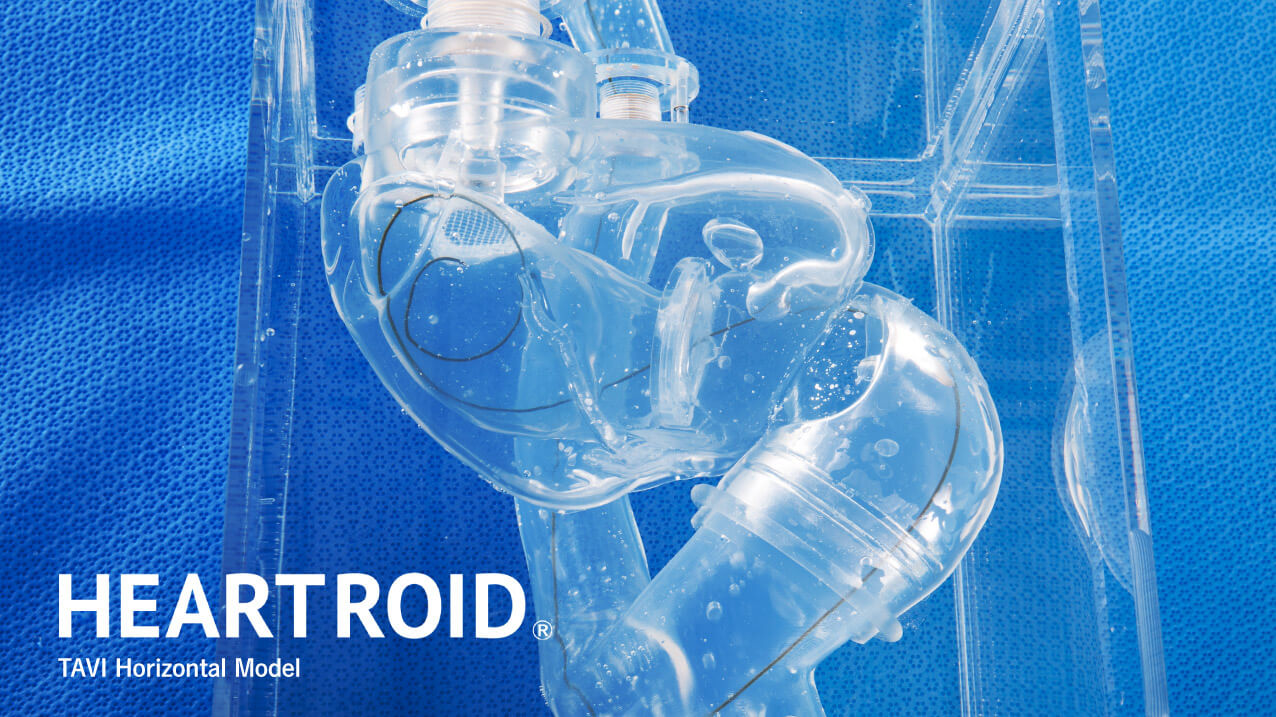 TAVI Horizontal Model | HEARTROID