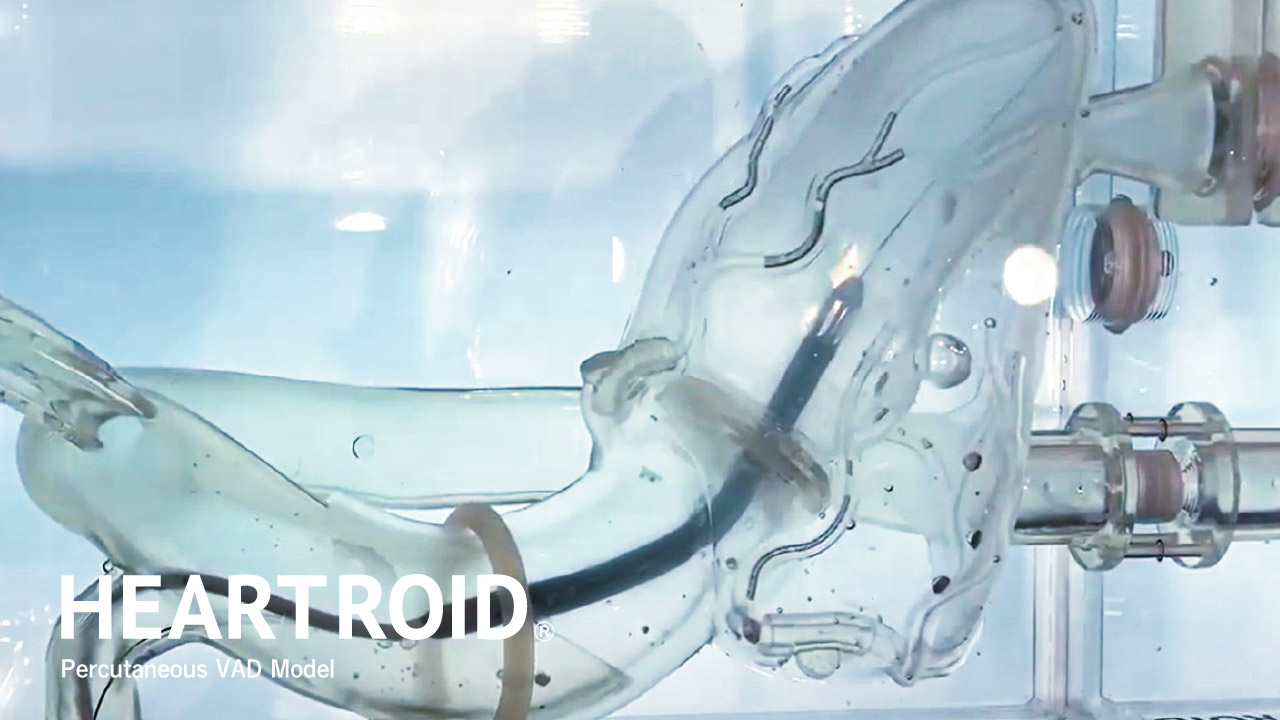 Percutaneous VAD Model | HEARTROID