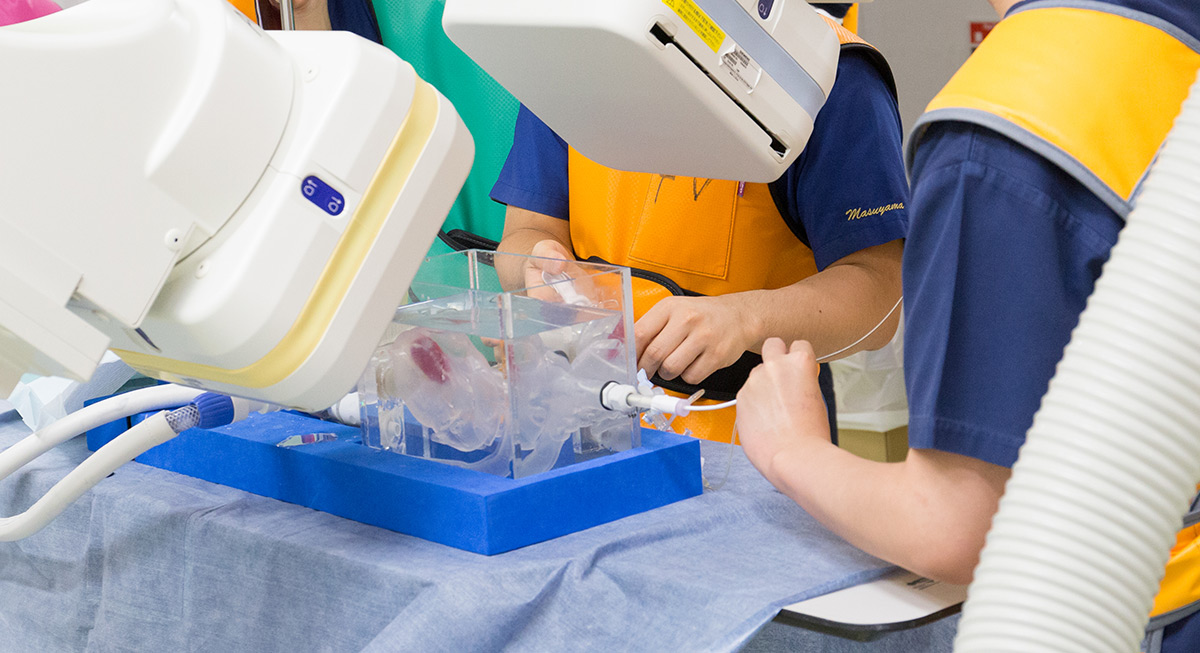 Catheter Heart Biopsy at Heather Phillips blog