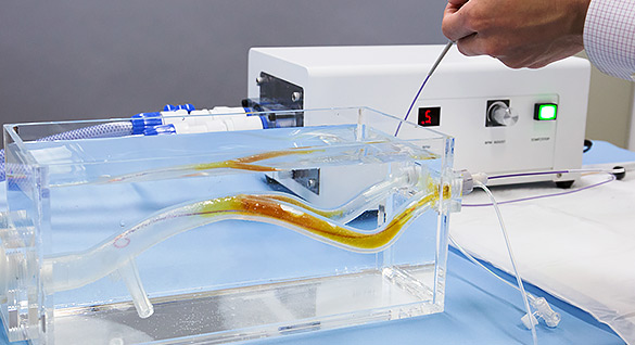 RDN Model | HEARTROID