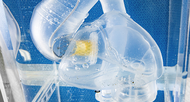 Modelo horizontal TAVI | HEARTROID