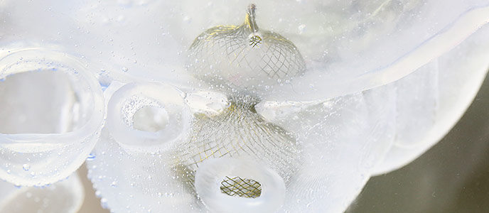 HEARTROID | MEDICAL TRAINING SYSTEM